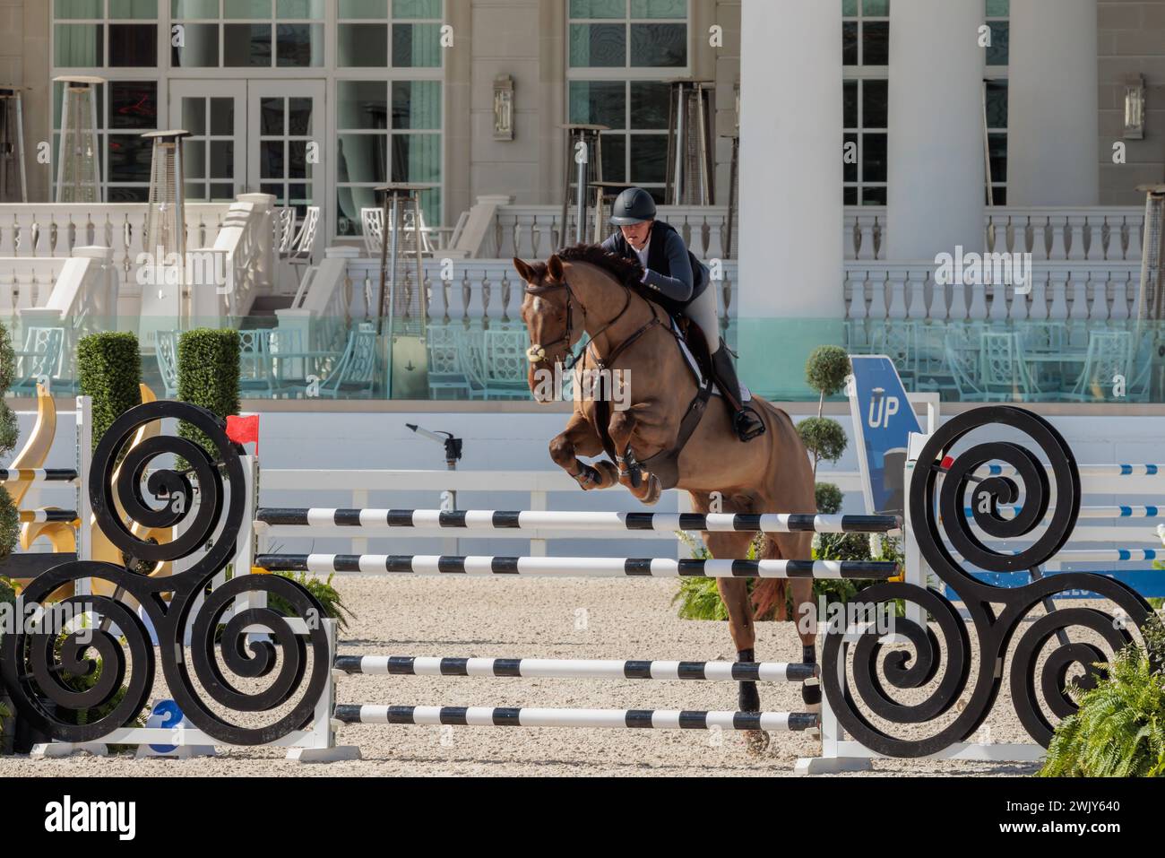Woman competing in the Hunter Jumper competition in the Grand Outdoor ...