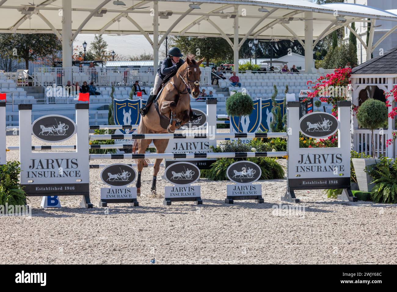 Woman competing in the Hunter Jumper competition in the Grand Outdoor ...