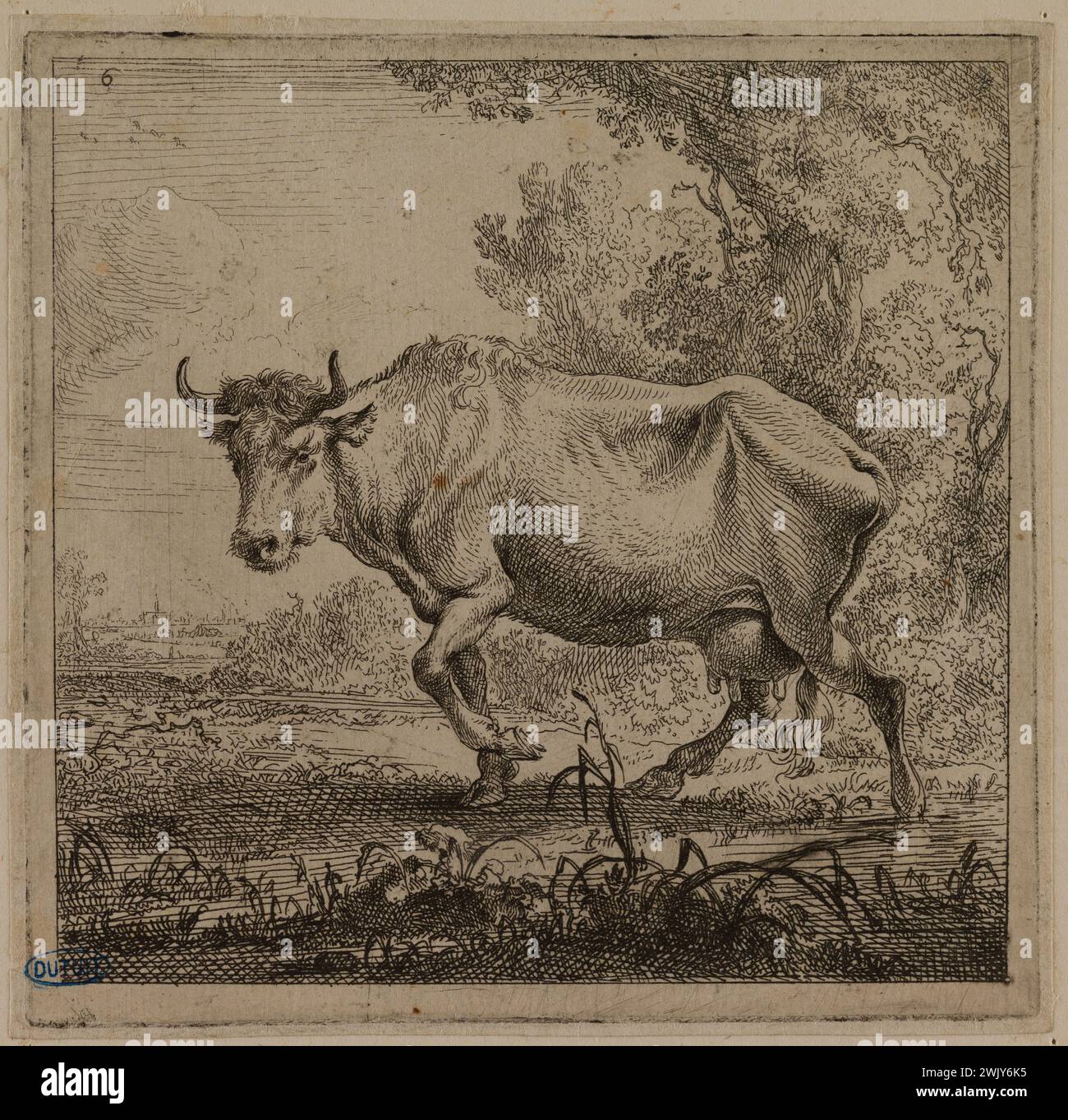 Berchem, Nicolaes Pietersz. "6- Cows with Laitière (Hollstein 28 ...