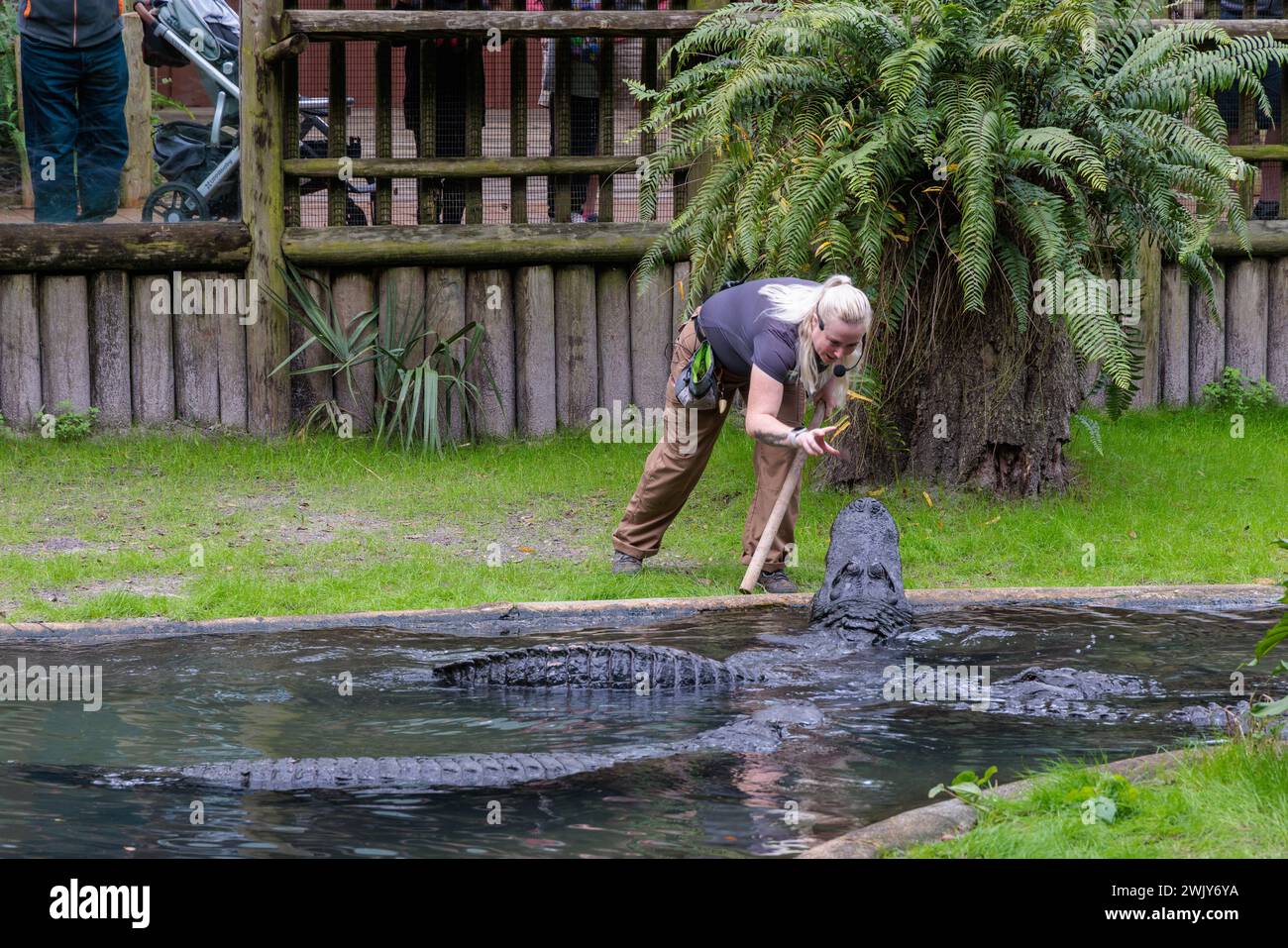 Woman talking about alligators during a show at the St. Augustine ...