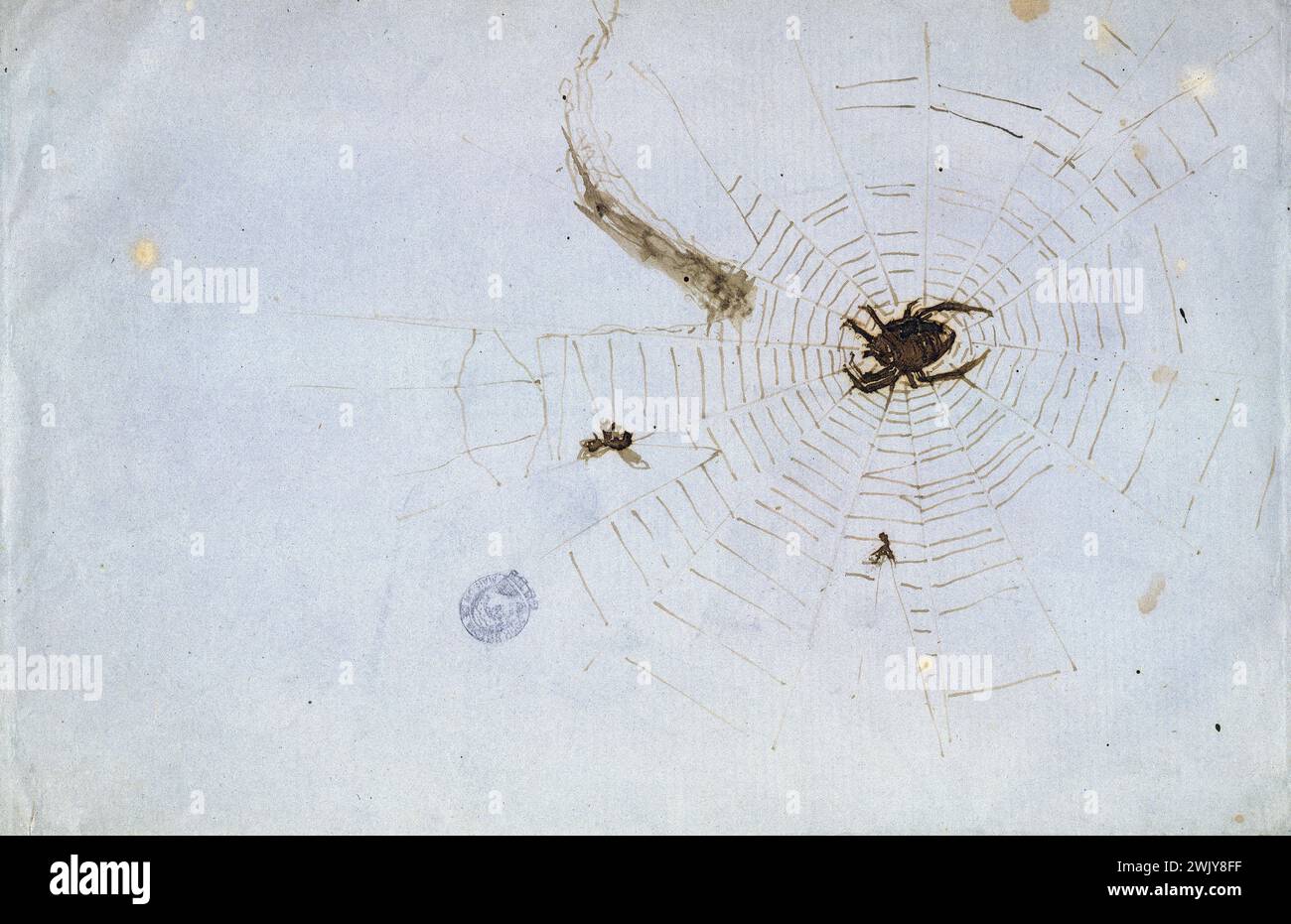 Victor Hugo (1802-1885). "Spider canvas and flies". Paris, house of ...