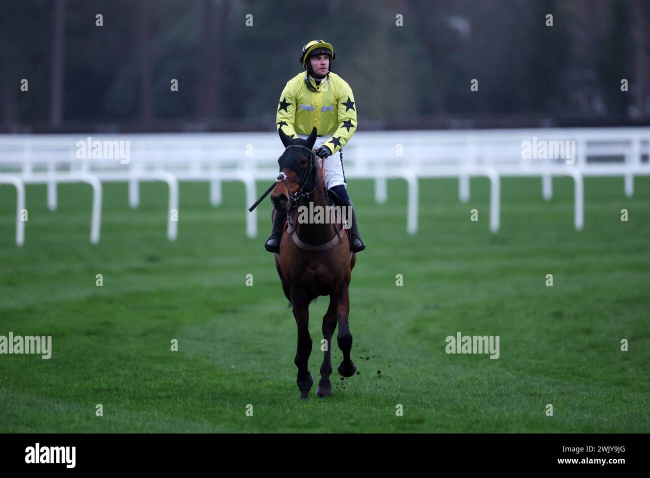 Anno Power ridden by Jonathan Burke after winning the British EBF Mares ...