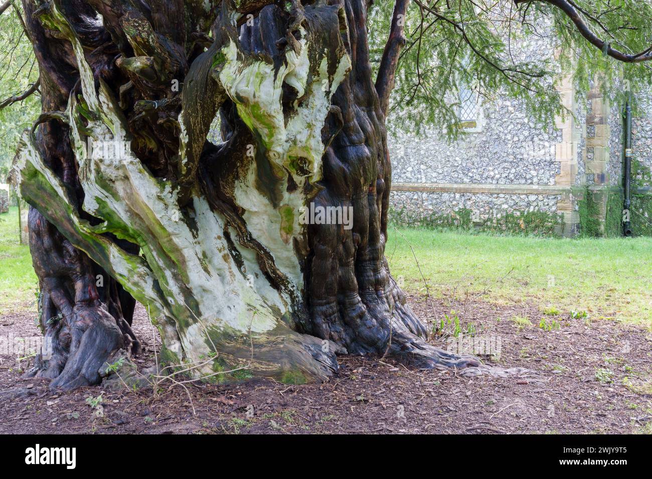 Stanmer churchyard hi-res stock photography and images - Alamy