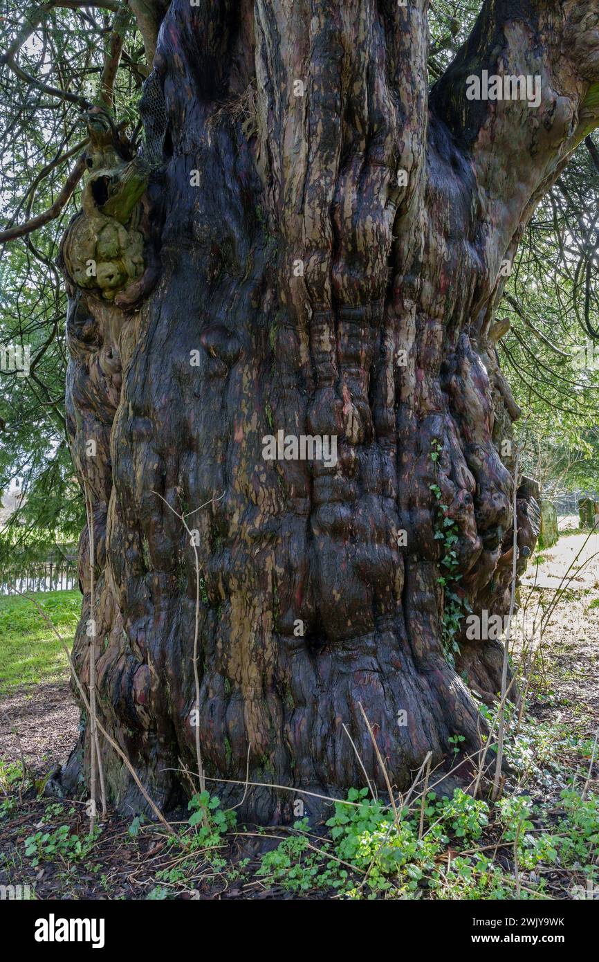 Stanmer churchyard hi-res stock photography and images - Alamy
