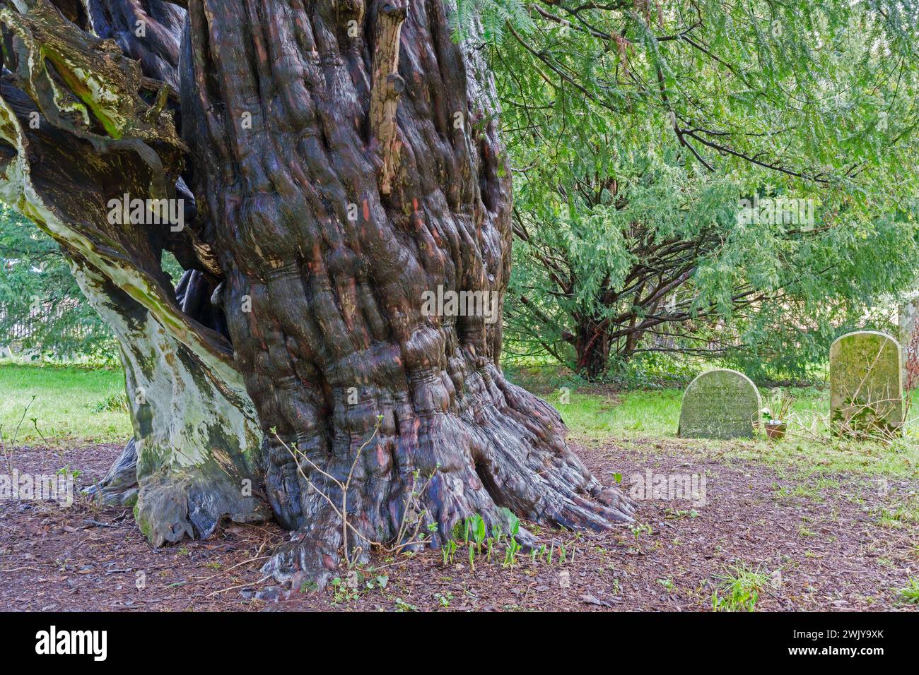 Stanmer churchyard hi-res stock photography and images - Alamy