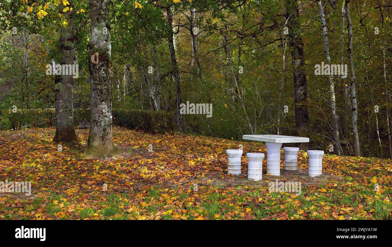 A picnic table in a parking rest area in a forest along a country road ...