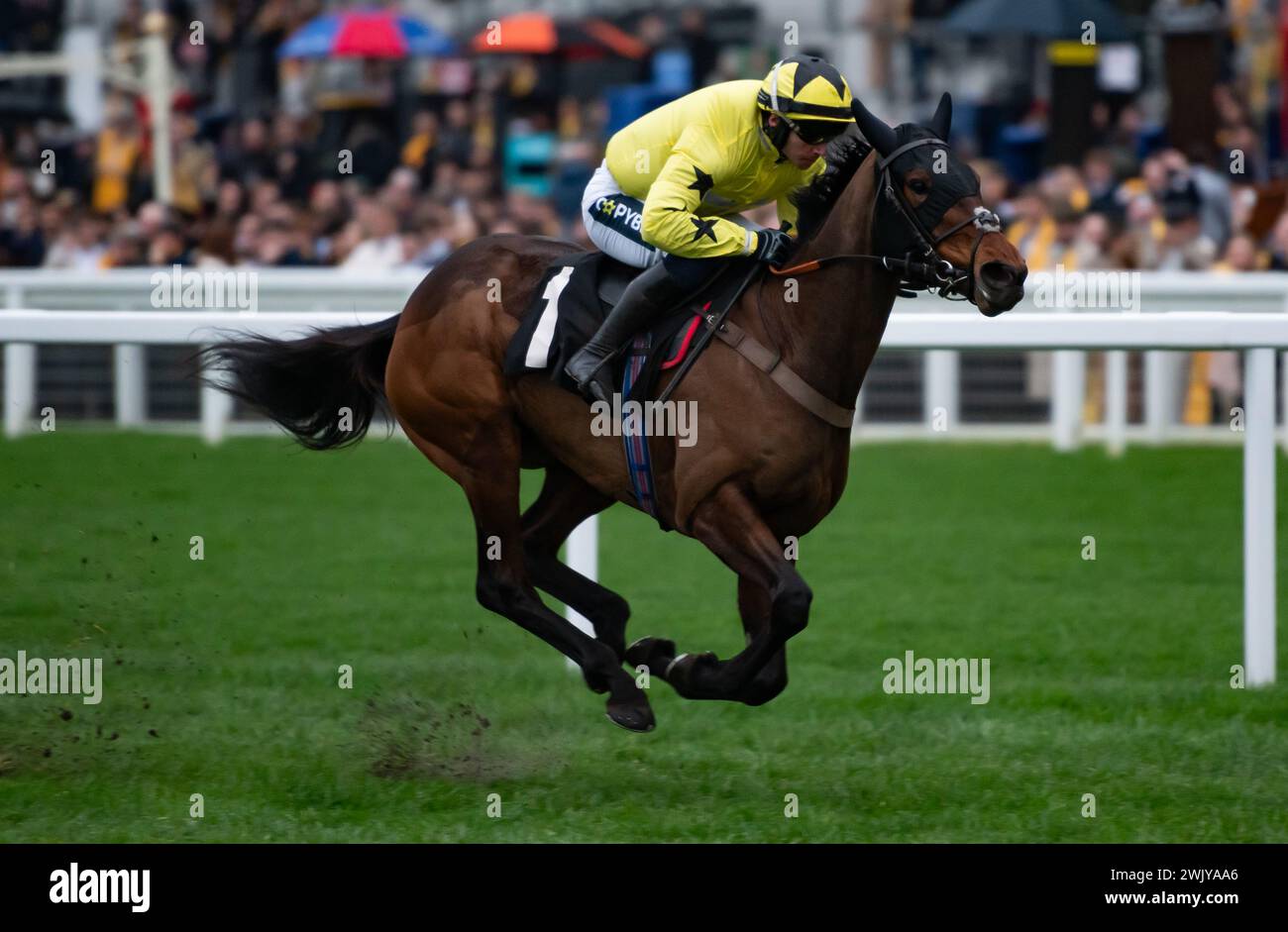 Harry fry racecourse hi-res stock photography and images - Alamy