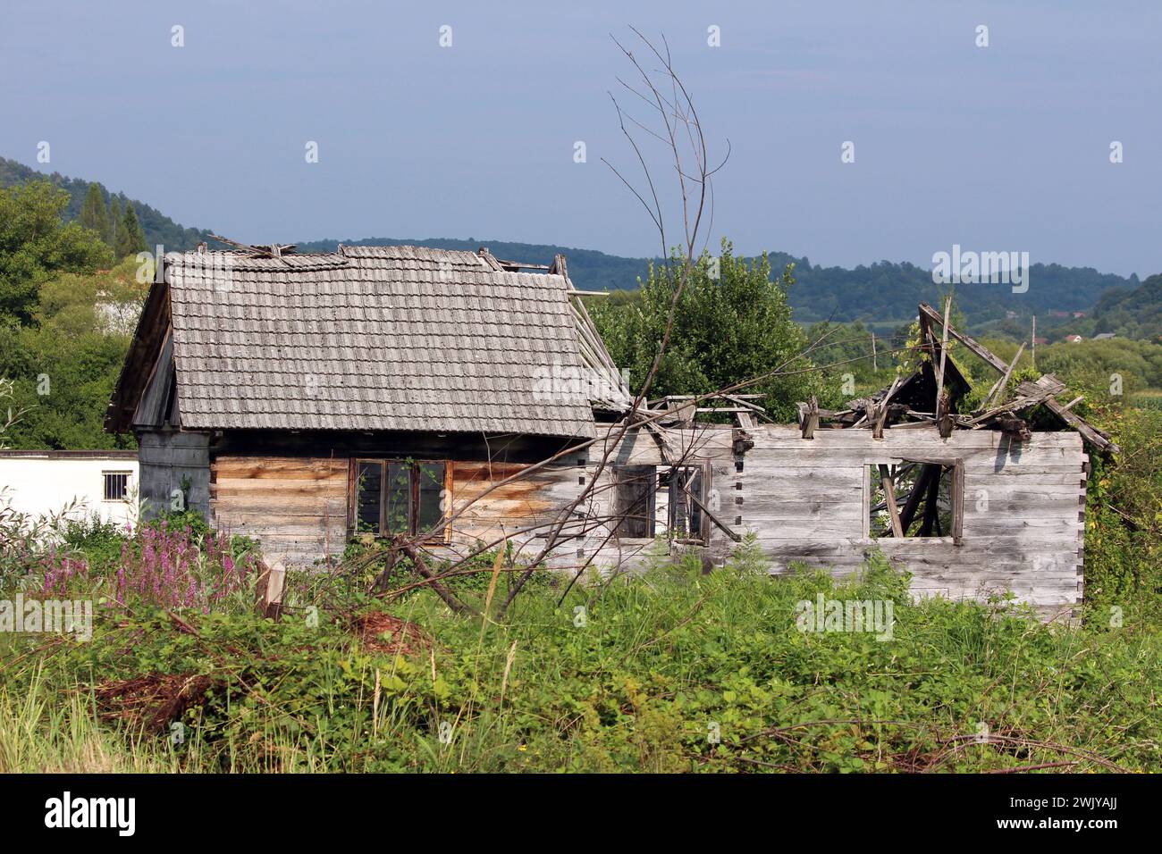 Abandoned old vintage dilapidated wooden house with destroyed roof and ...