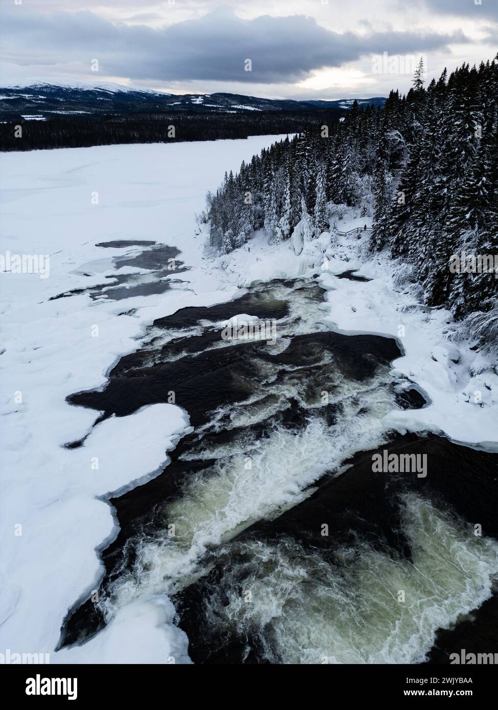 The ice floating in a frigid body of water amidst a vast expanse of ...