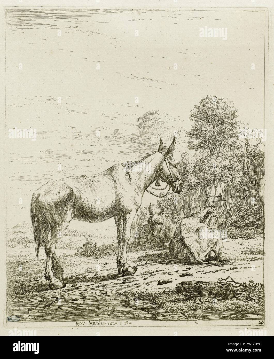 Karel Dujardin (1622-78). The Mule with bells (Dutuit 29). Eat, 1658 ...