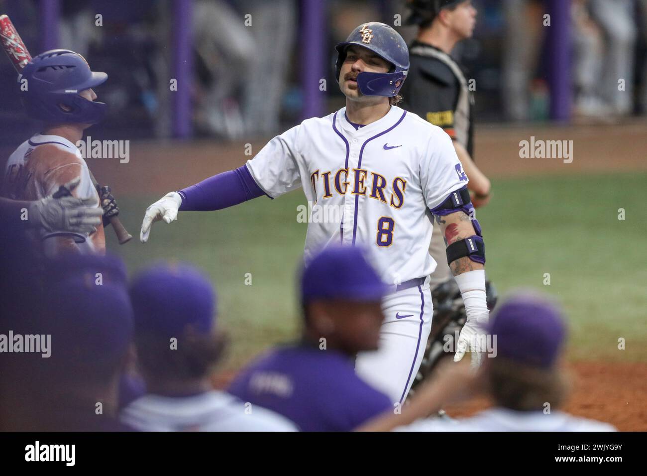 February 16, 2024: LSU's Hayden Travinski (8) is congratulated after a ...