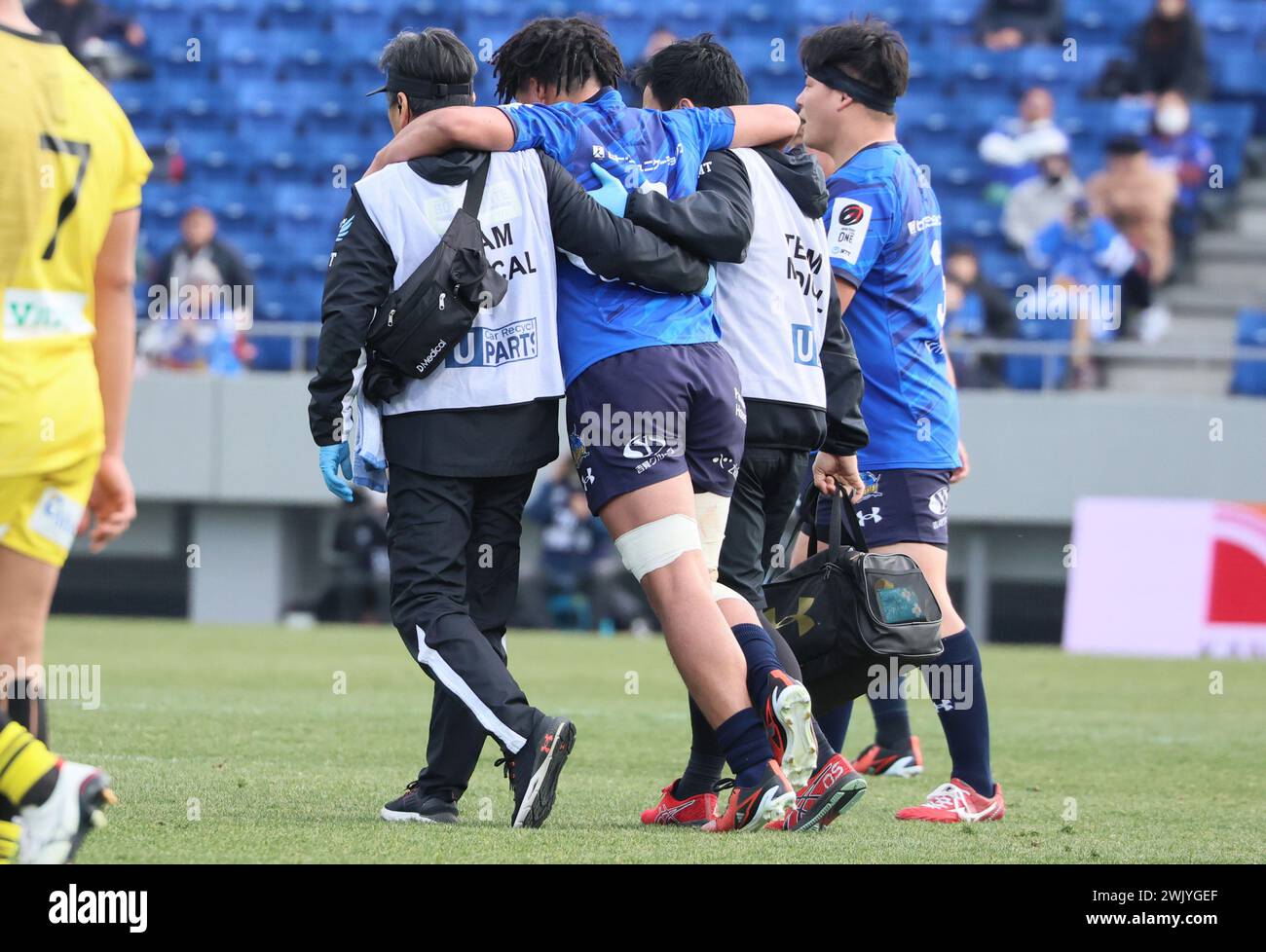 Carried wild hi-res stock photography and images - Alamy