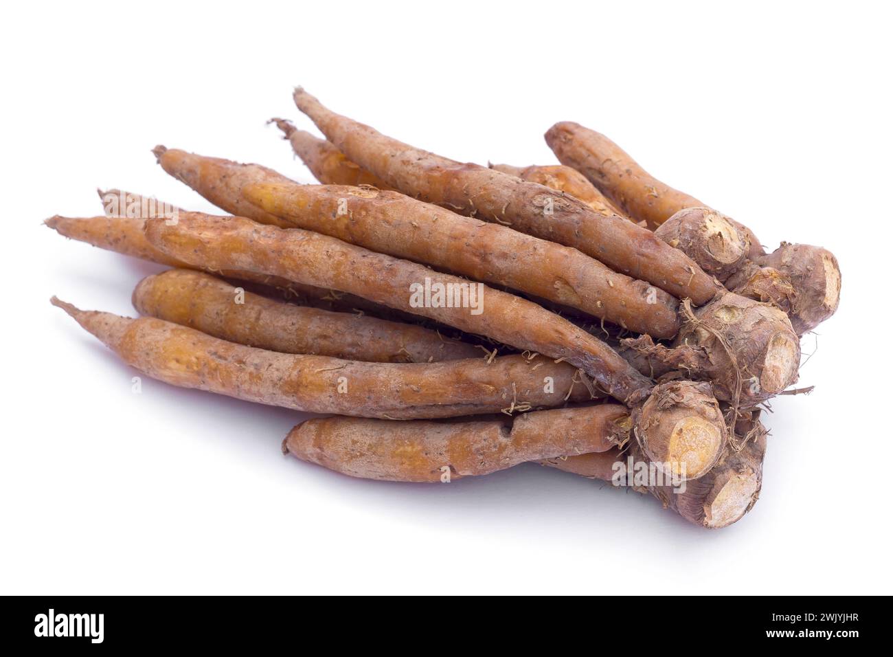 Finger root; Krachai (Boesenbergia rotunda ) on white background; thai ...