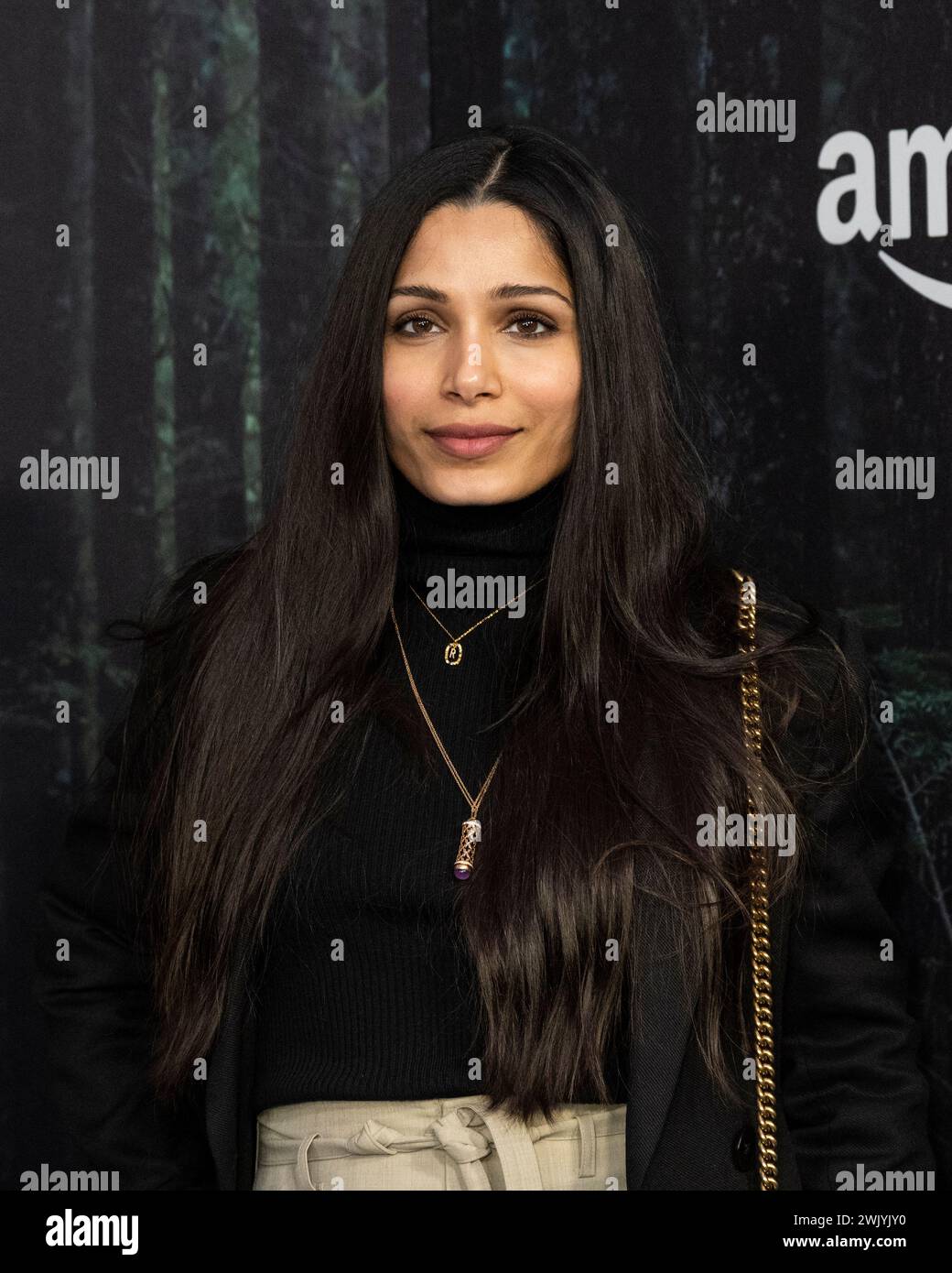 London, UK. 17 February 2024. Freida Pinto (actor) at a premiere at The ...
