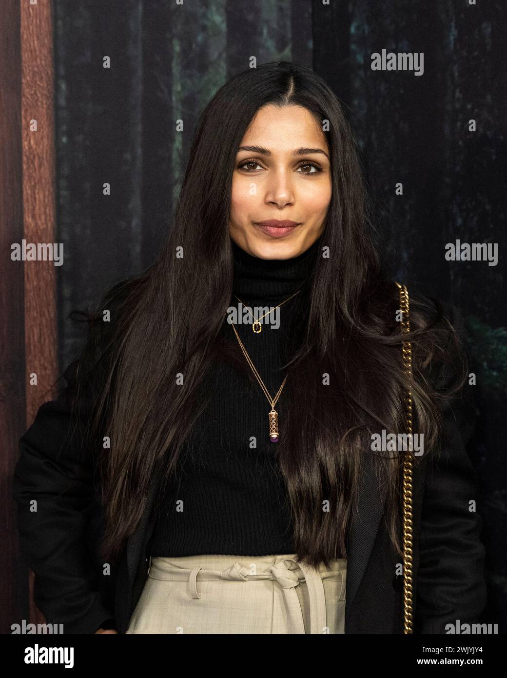 London, UK. 17 February 2024. Freida Pinto (actor) at a premiere at The ...