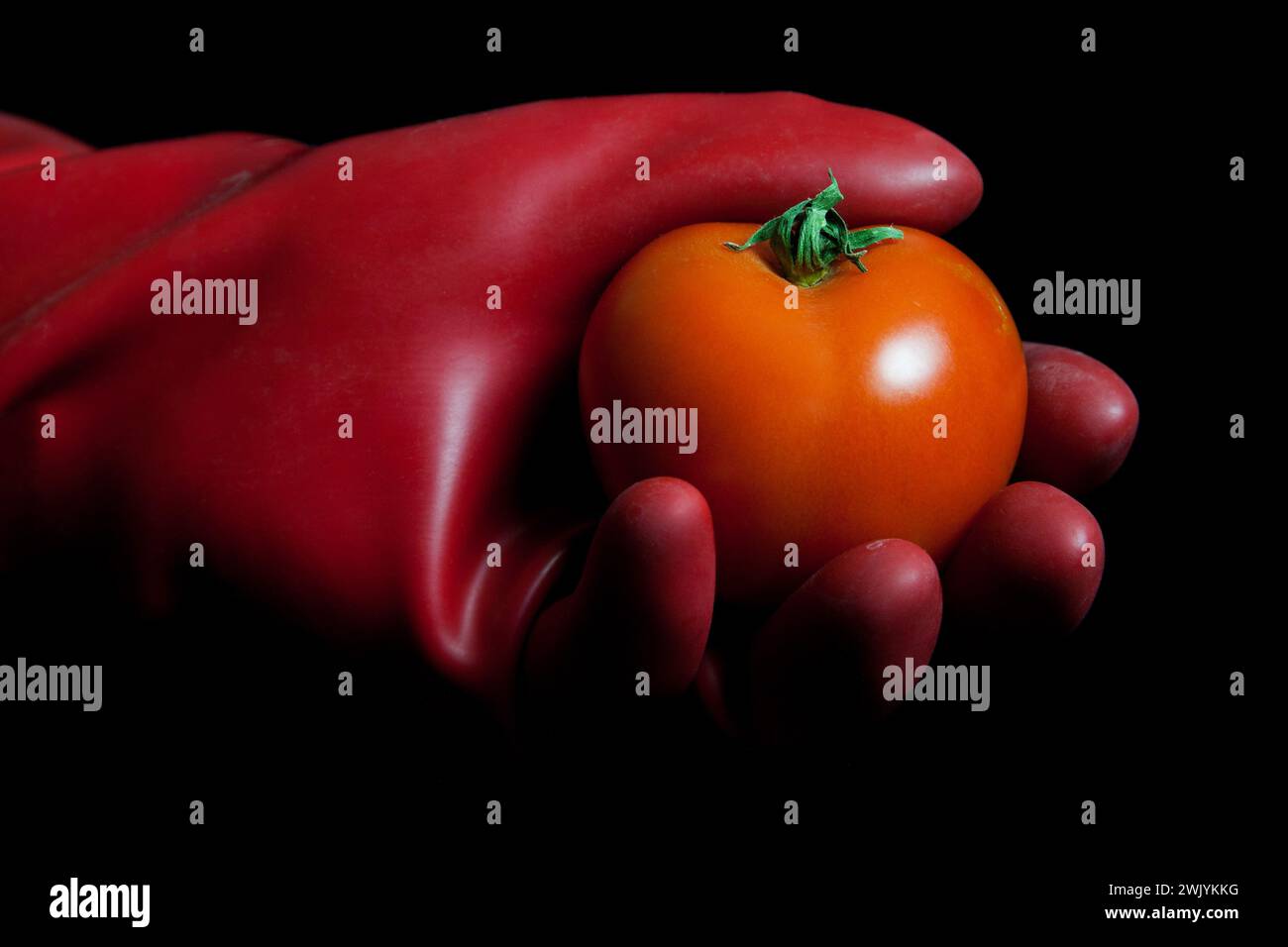 Contrasting textures hi-res stock photography and images - Alamy