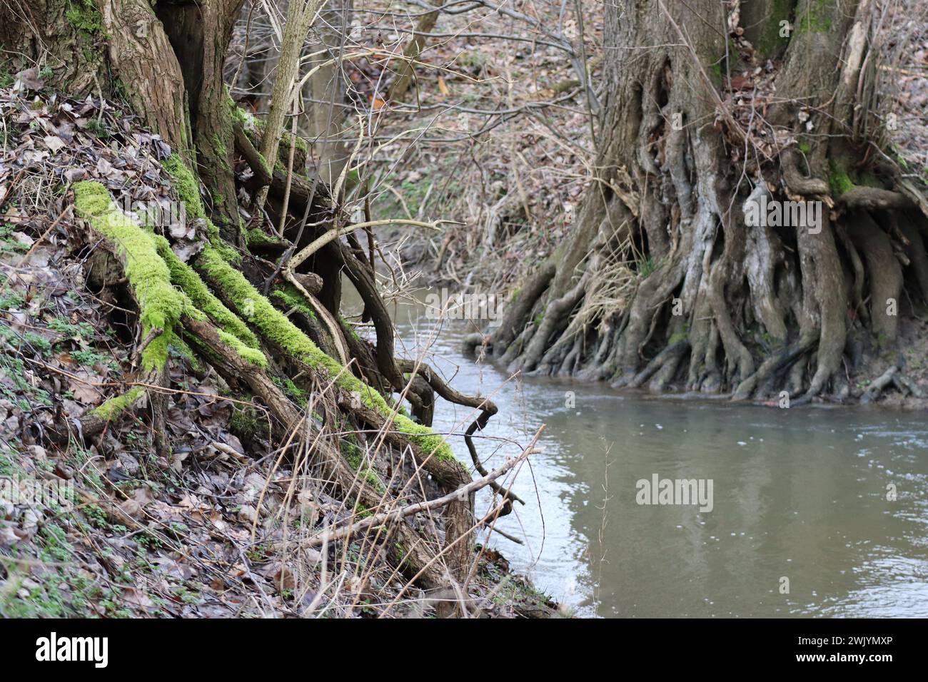 Oversized hand hi-res stock photography and images - Alamy