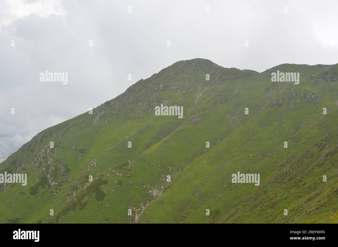 Pakistan alpine zone Stock Photo - Alamy