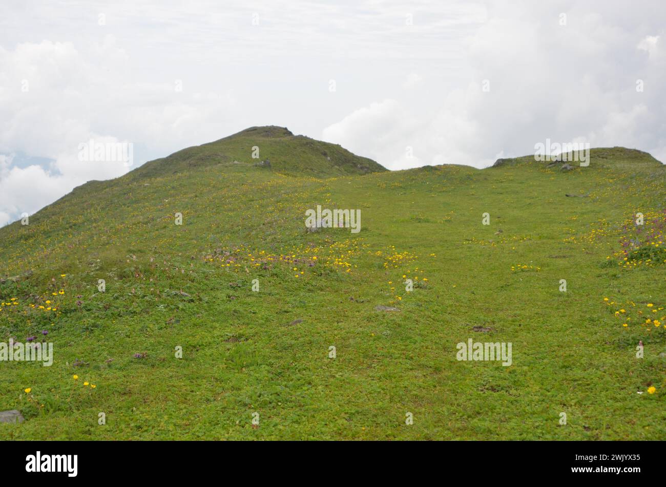 Alpine zone himalaya region of Pakistan Stock Photo - Alamy