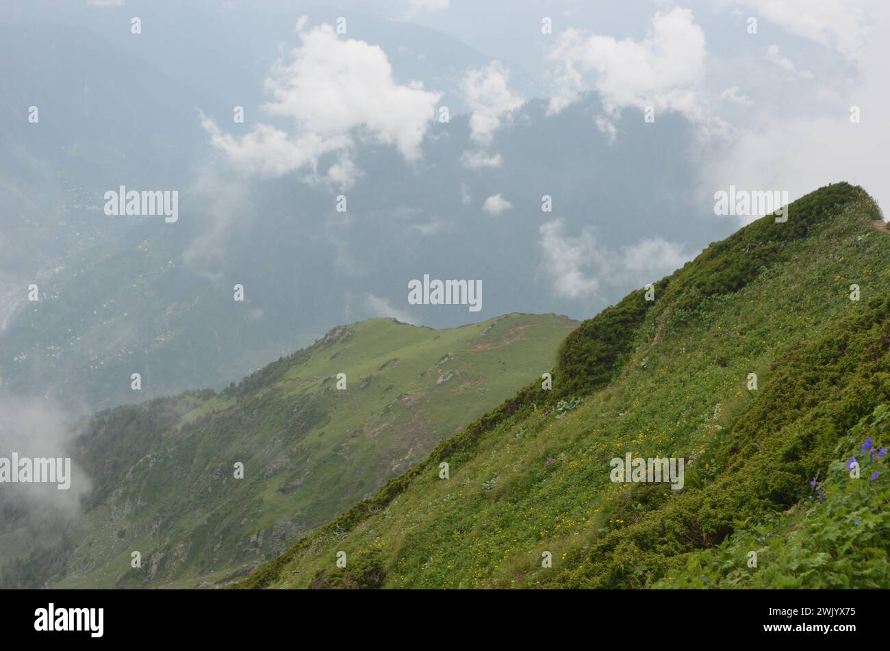 Alpine zone himalaya region of Pakistan Stock Photo - Alamy