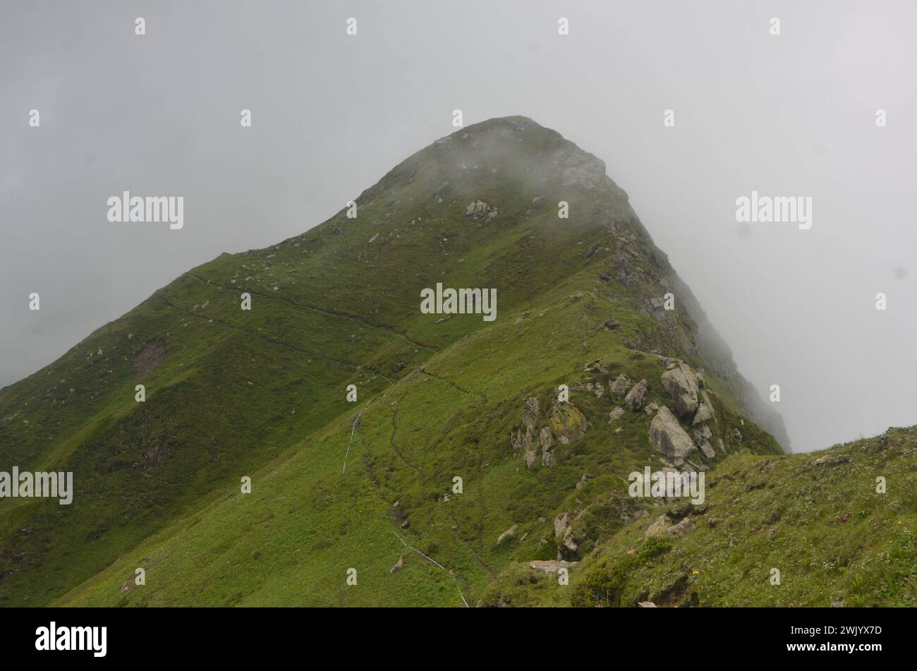 Alpine and subalpine zone of pakistan hi-res stock photography and images - Alamy