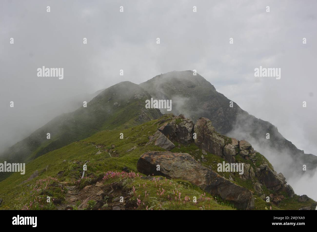 Pakistan alpine zone Stock Photo - Alamy
