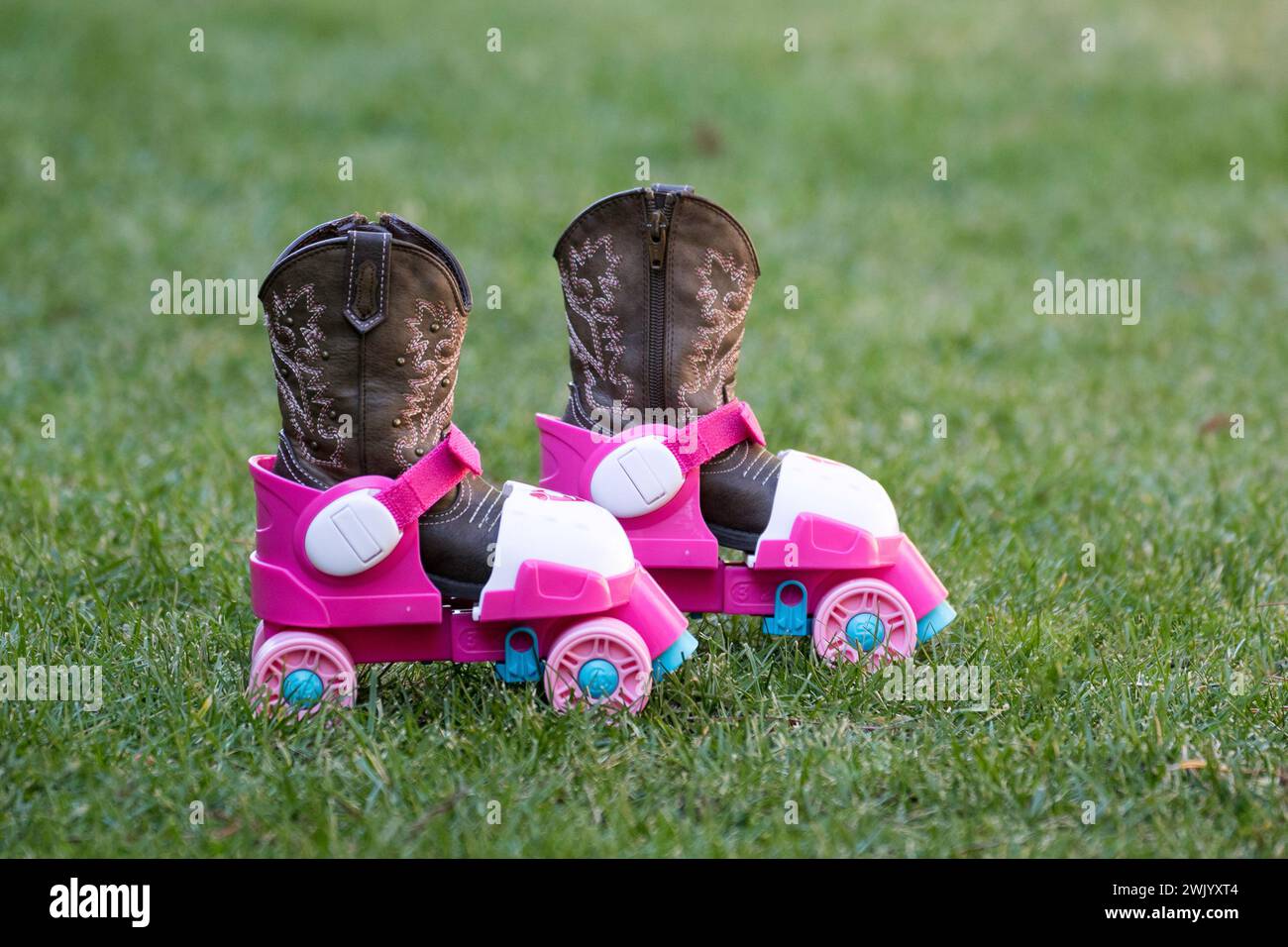 A little girl's pink plastic roller skates were left on the green lawn ...