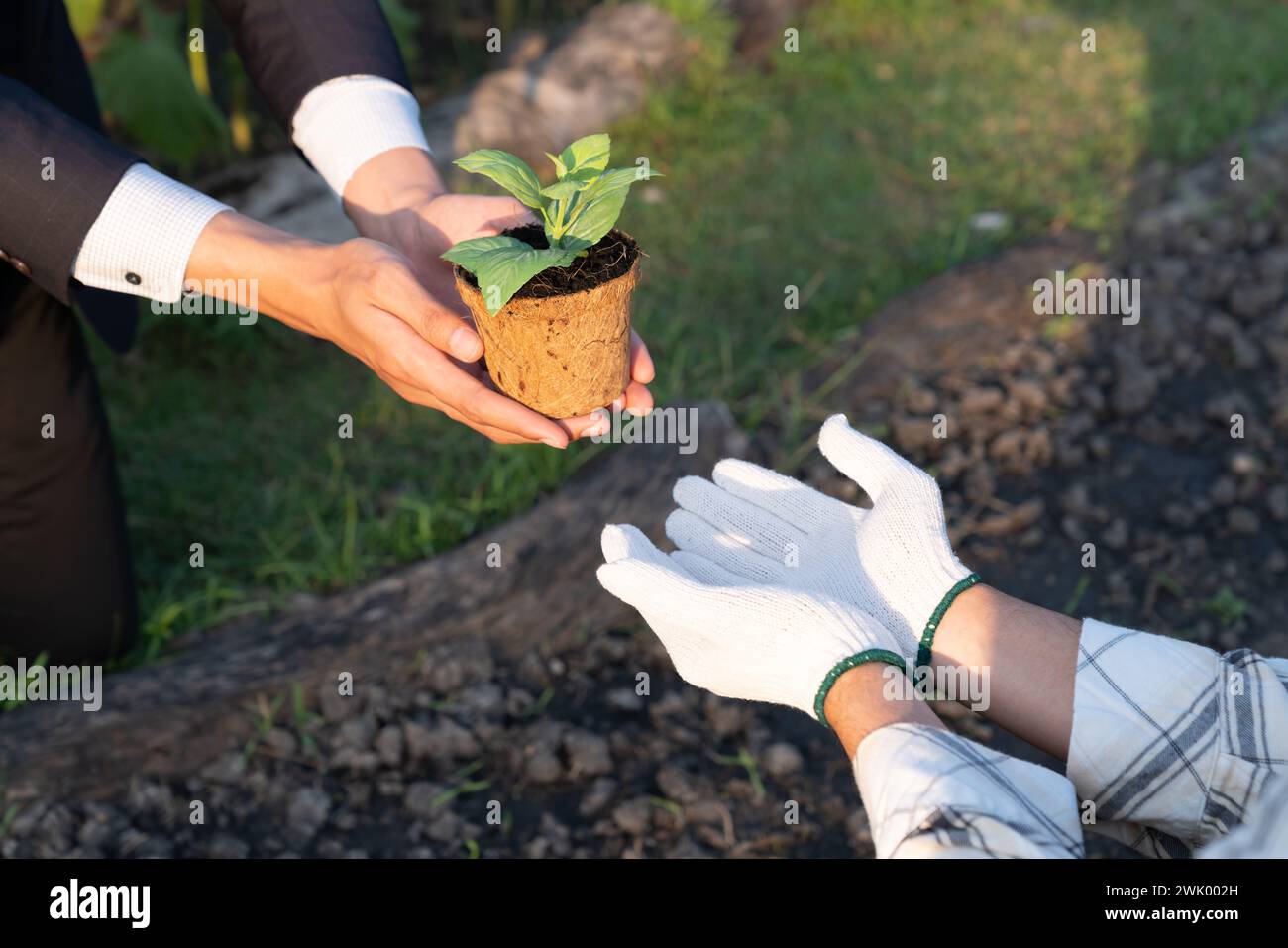 Eco-business company empower farmer with eco-friendly farming practice and clean agricultural ...