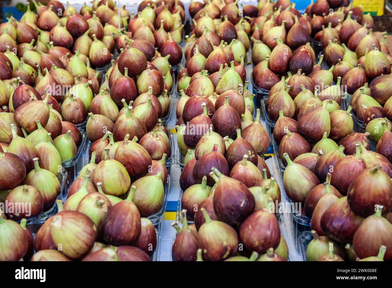 Organic fig farming hi-res stock photography and images - Alamy