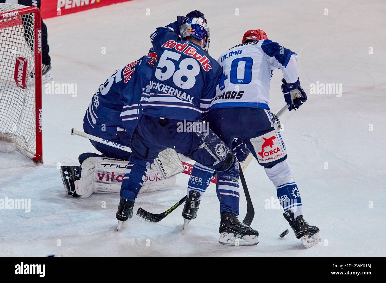 Deutsche Eishockey Liga DEL Stock Photo - Alamy