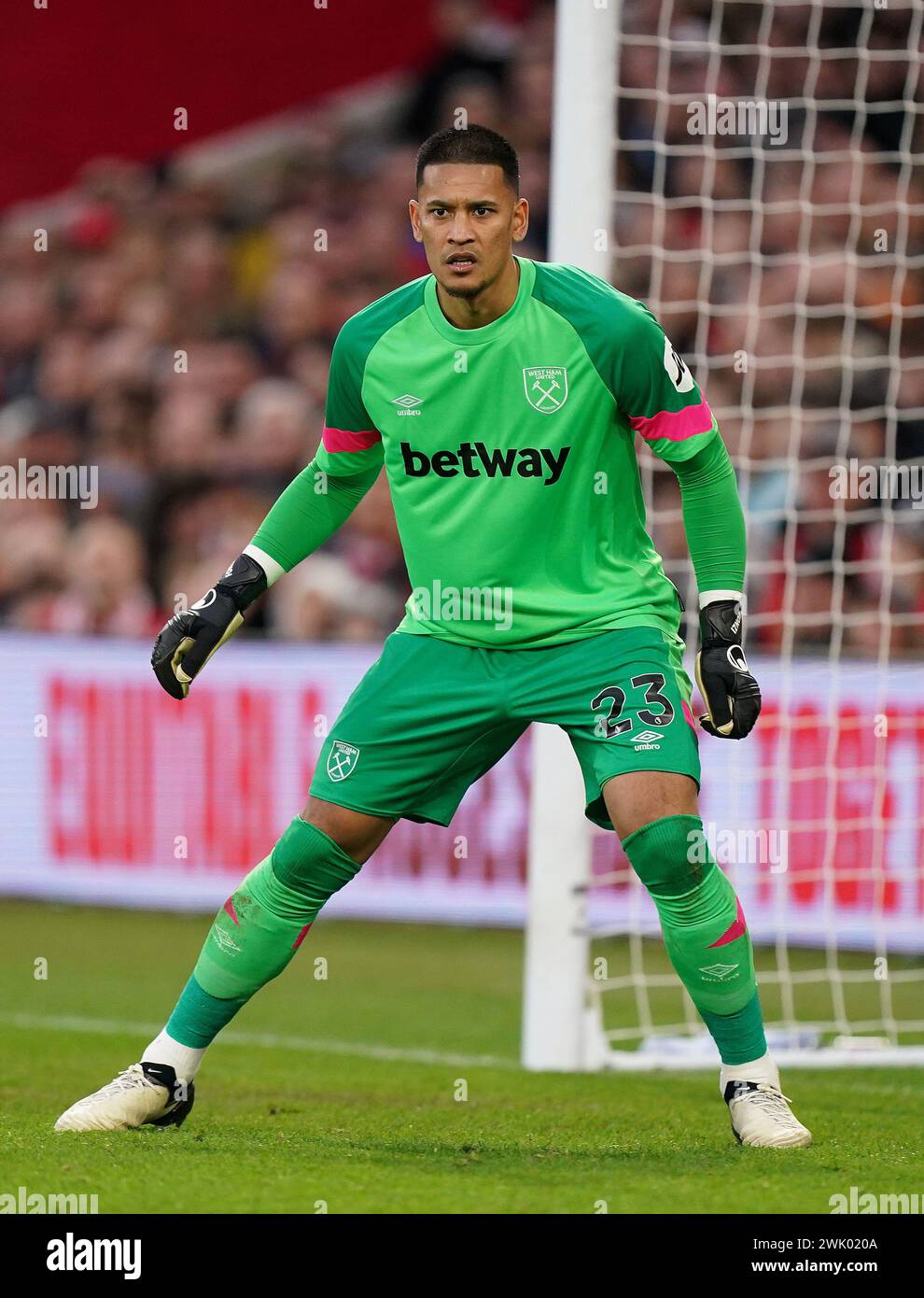 West Ham United goalkeeper Alphonse Areola during the Premier League ...