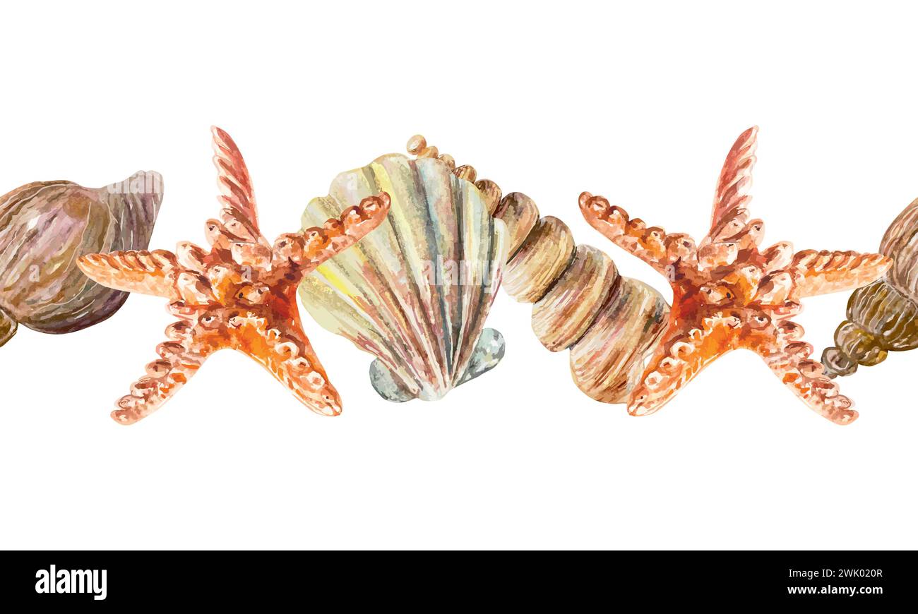 Seashells, seamless border, starfish, watercolor. Sea life vector ...