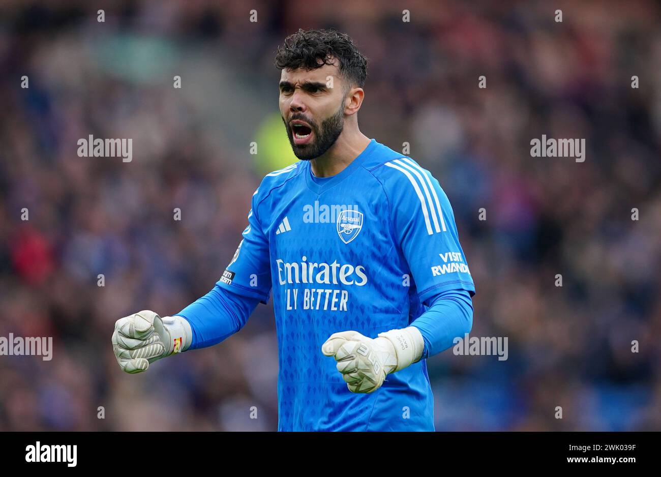 Raya arsenal hi-res stock photography and images - Alamy