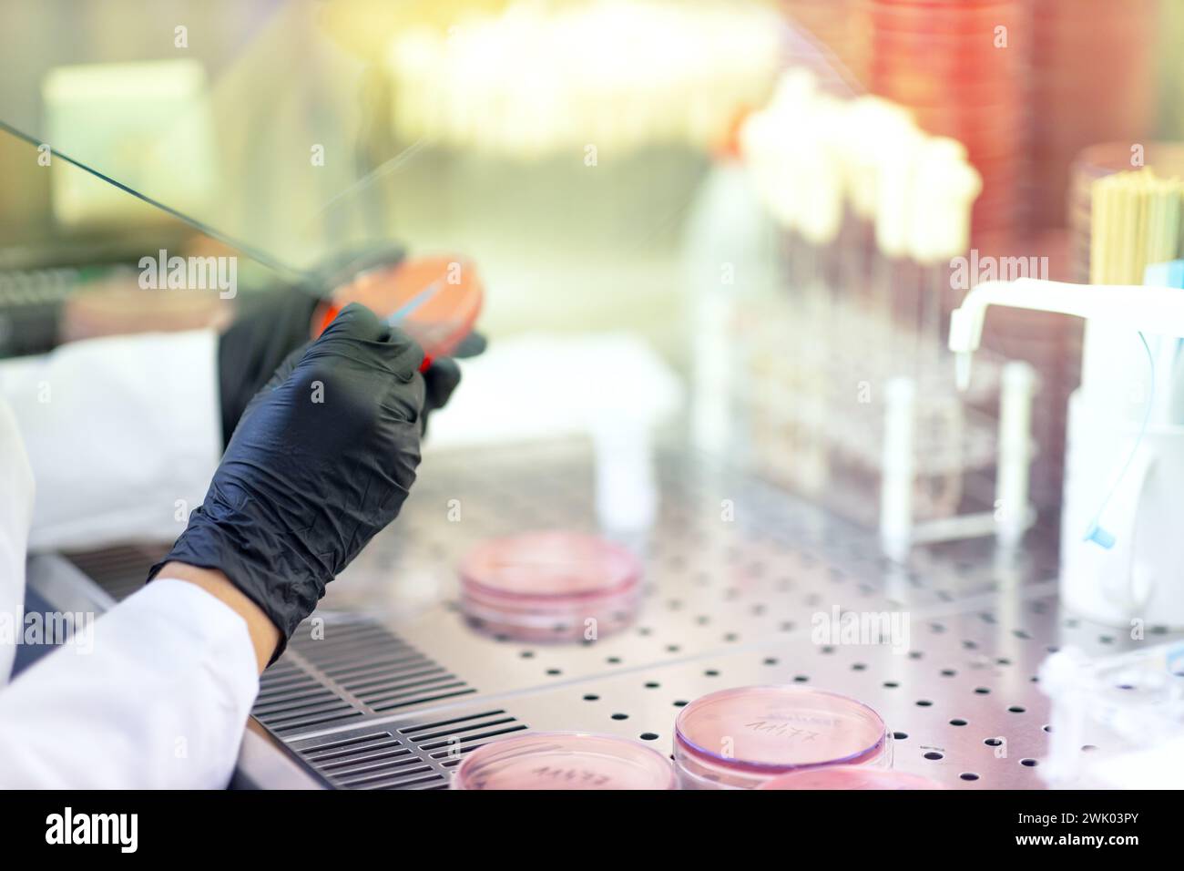 Biochemical testing plate hi-res stock photography and images - Alamy