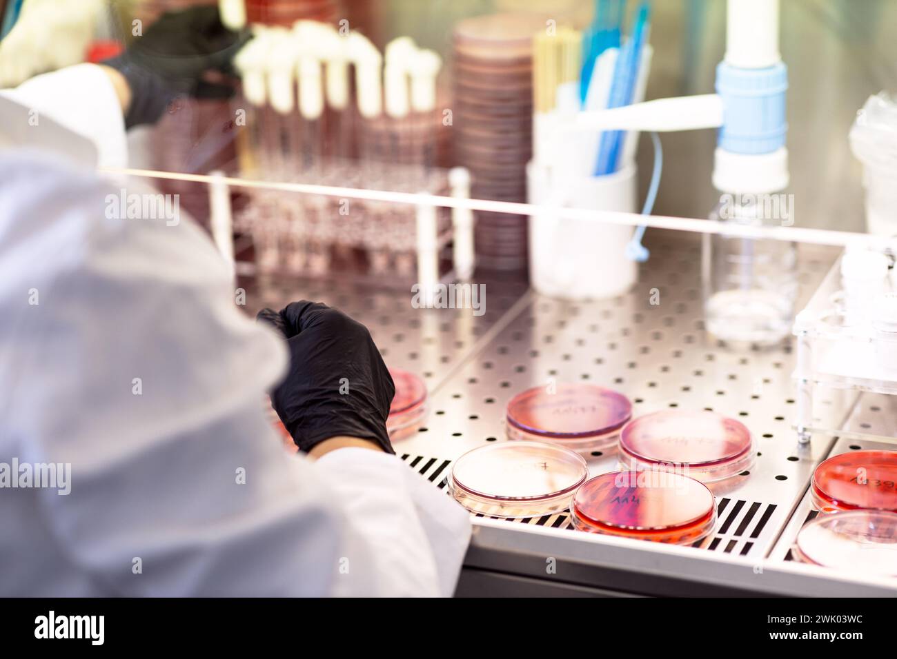 Biochemical testing plate hi-res stock photography and images - Alamy
