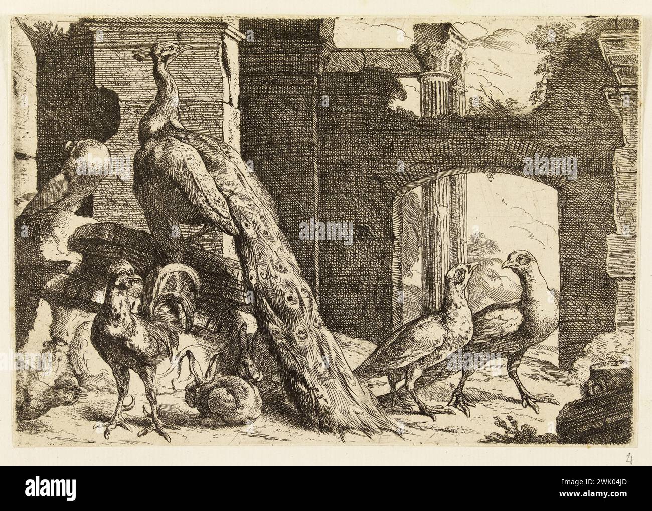 Pierre Boel (1622-1680). The peacock (Barstch 4). Etching. XVIIth ...