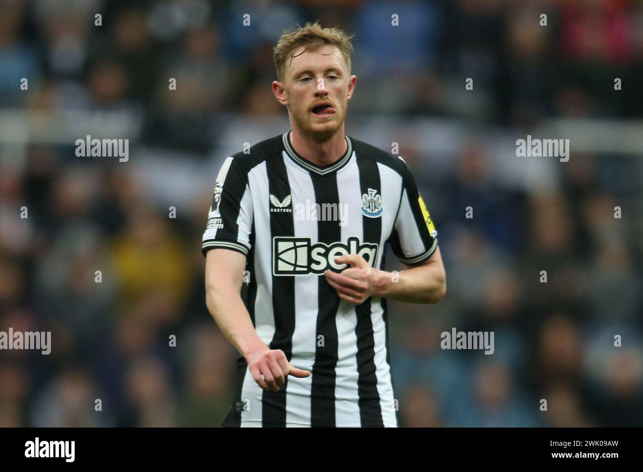 Sean longstaff 2024 hi-res stock photography and images - Alamy