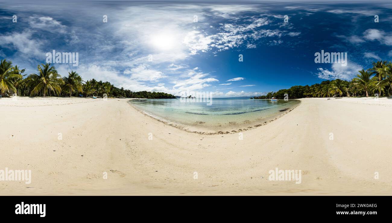 Coastline with coconut trees and clear ocean waves on sandy beach ...