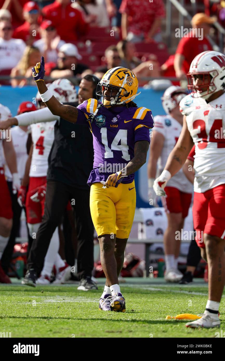 LSU Tigers wide receiver Jalen Brown (14) signals a first down during ...