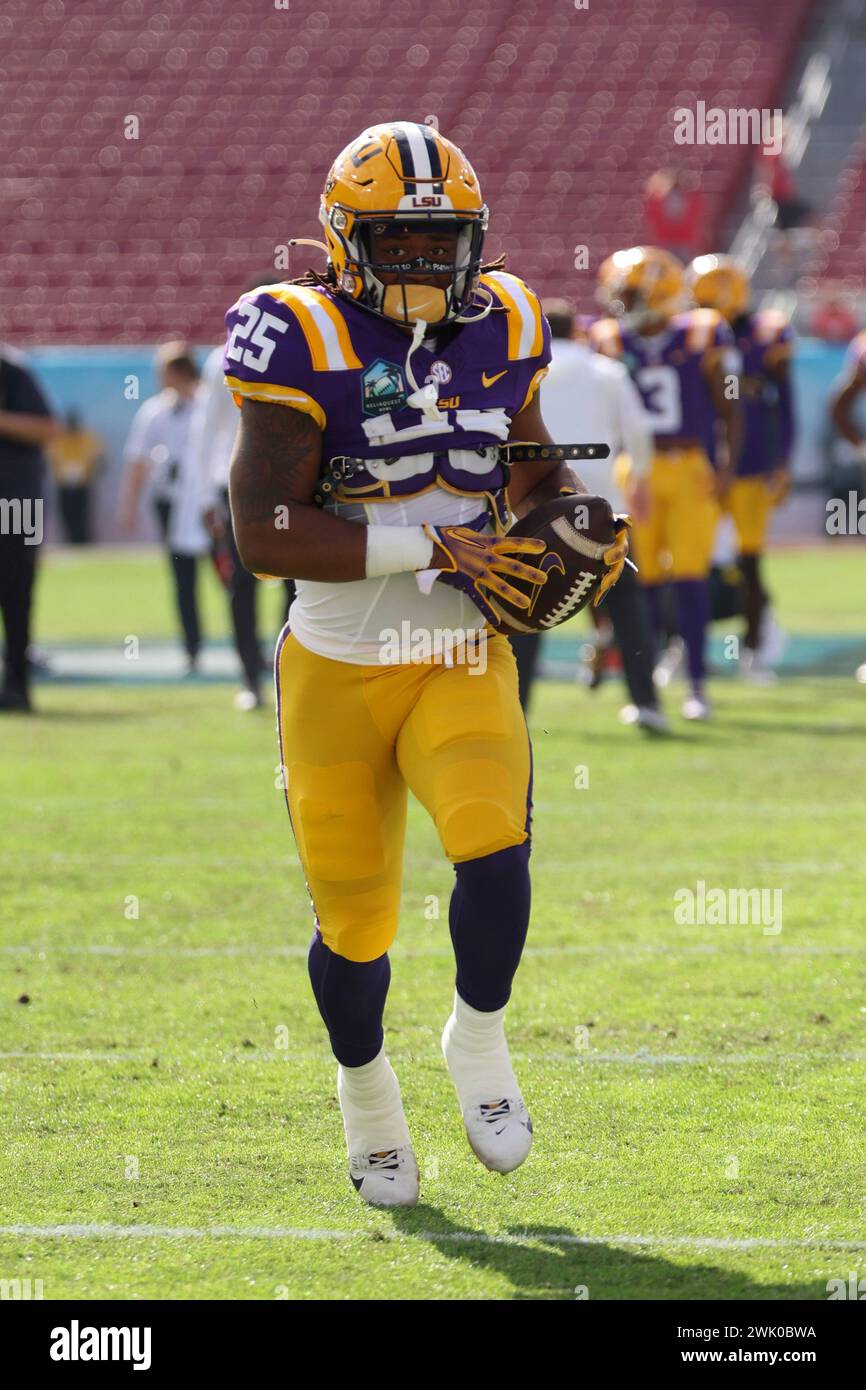 LSU Tigers running back Trey Holly (25) carries the ball during warm ...