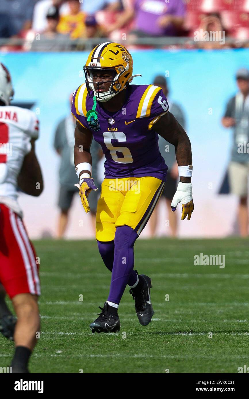 LSU Tigers safety Jordan Allen (6) takes a defensive position during ...