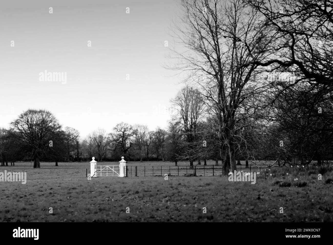 Attingham park country house hi-res stock photography and images - Alamy