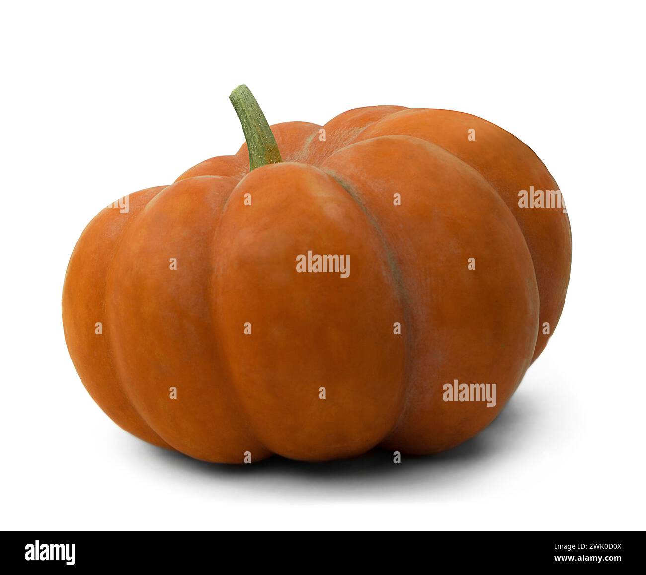 Modern cooking food recipe Cut Out Stock Images & Pictures - Alamy