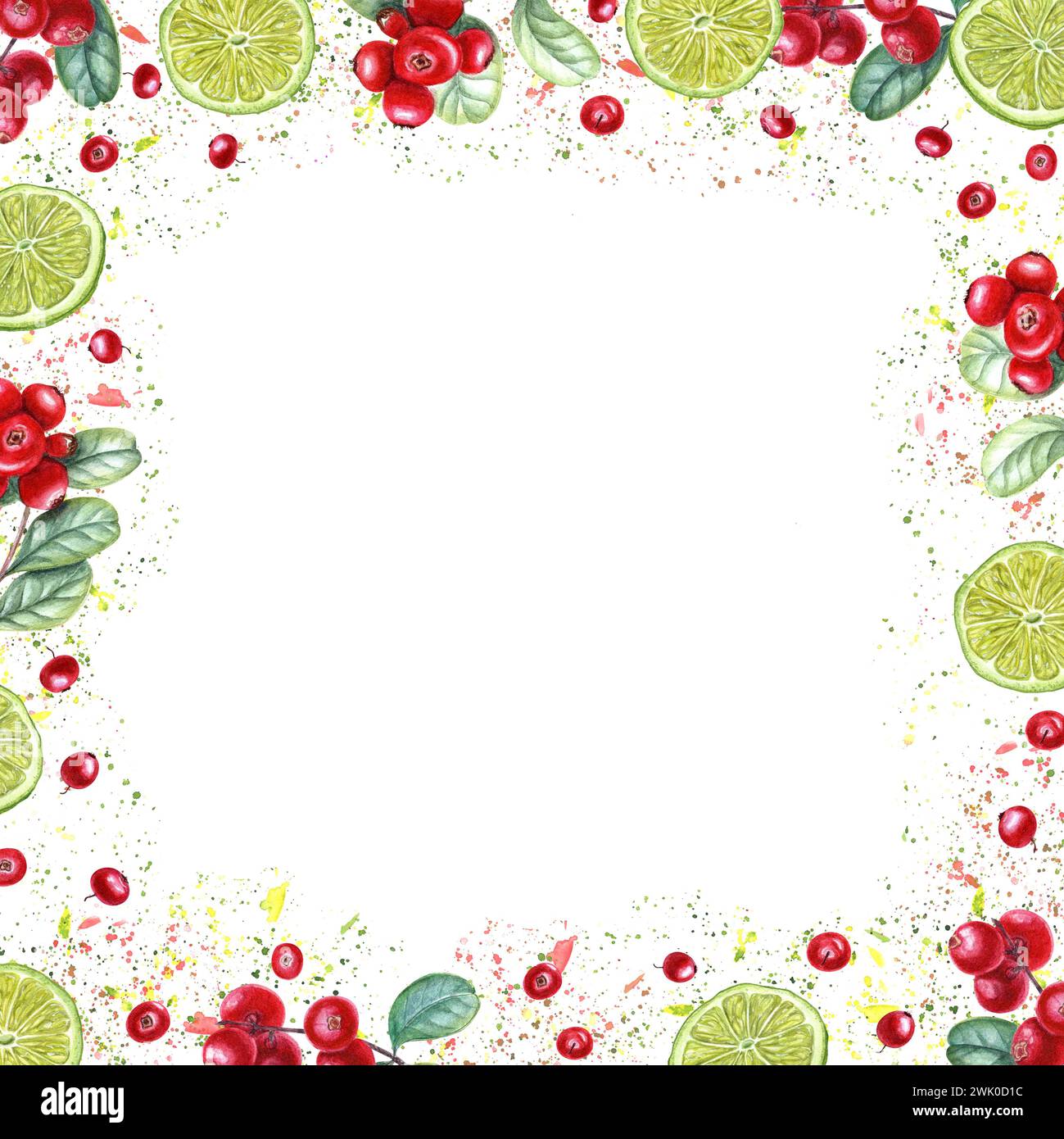 Square frame of lime slices, lingonberries. Citrus, red berries, green ...
