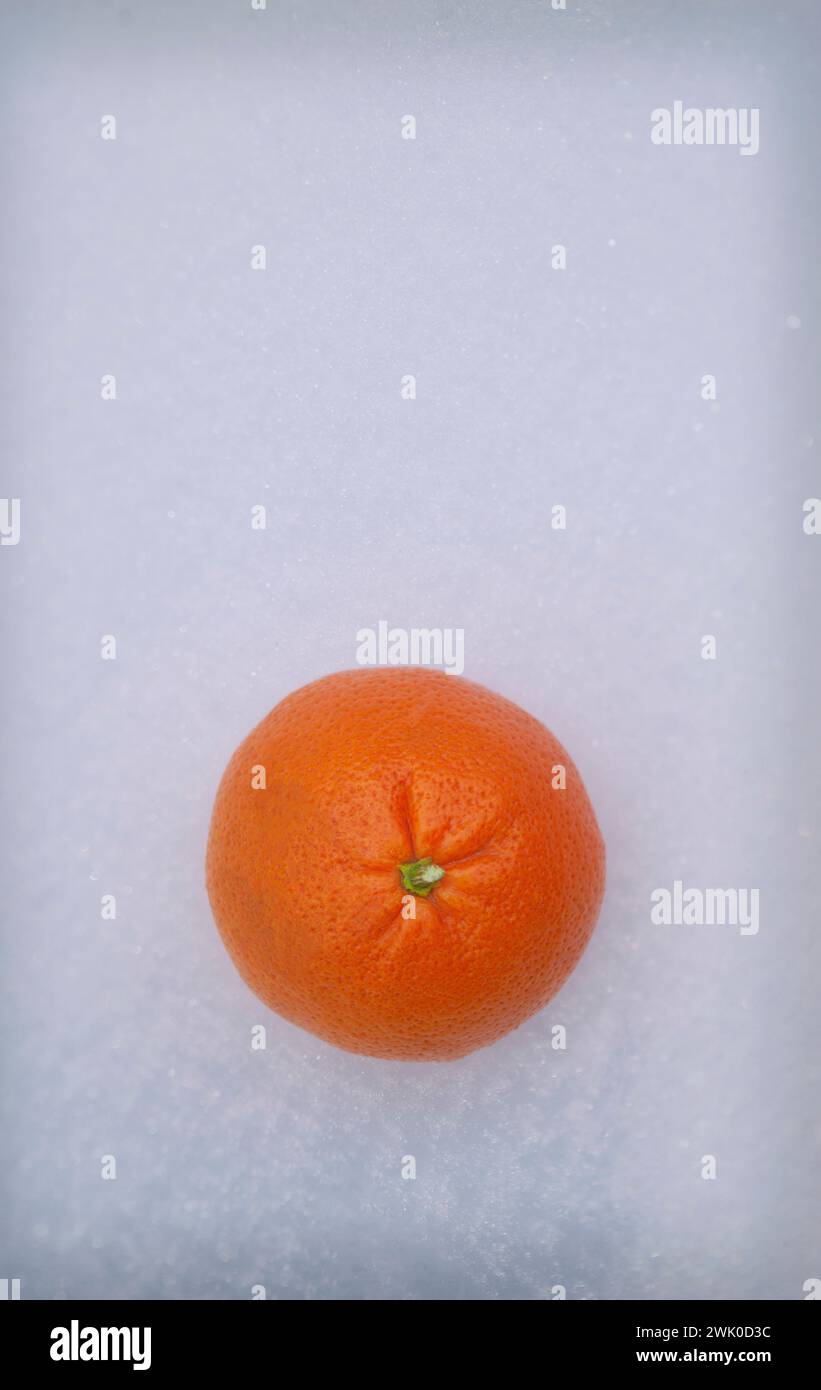Mandarin orange snow hi-res stock photography and images - Alamy