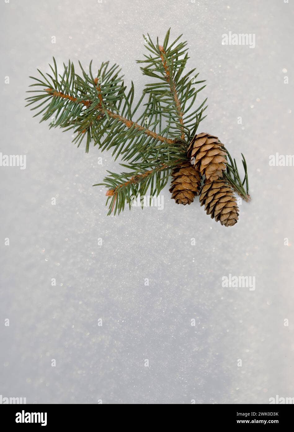 Snowflakes set in flat hi-res stock photography and images - Alamy