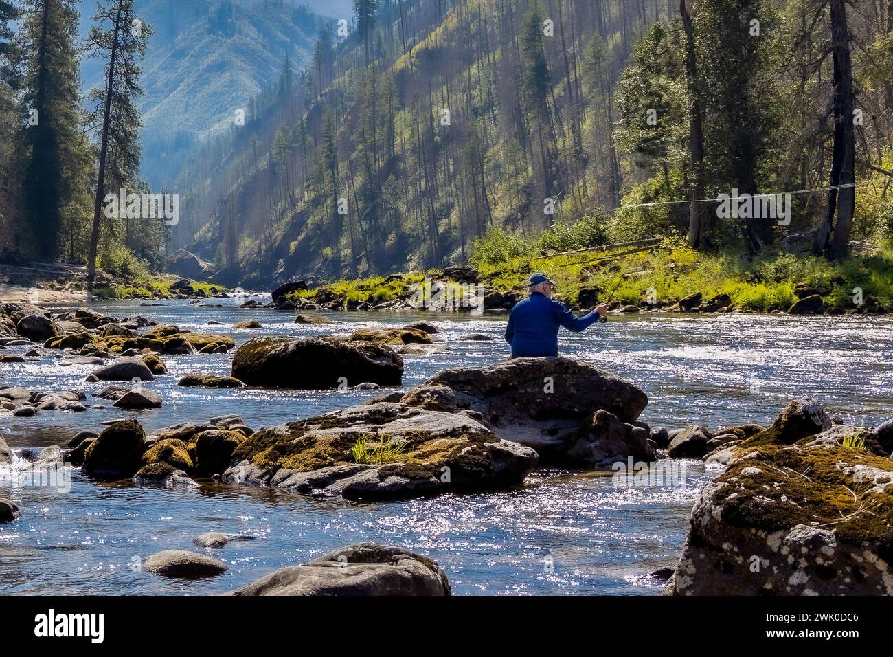 Man wading and fly fishing in the Selway River in the Idaho Selway ...