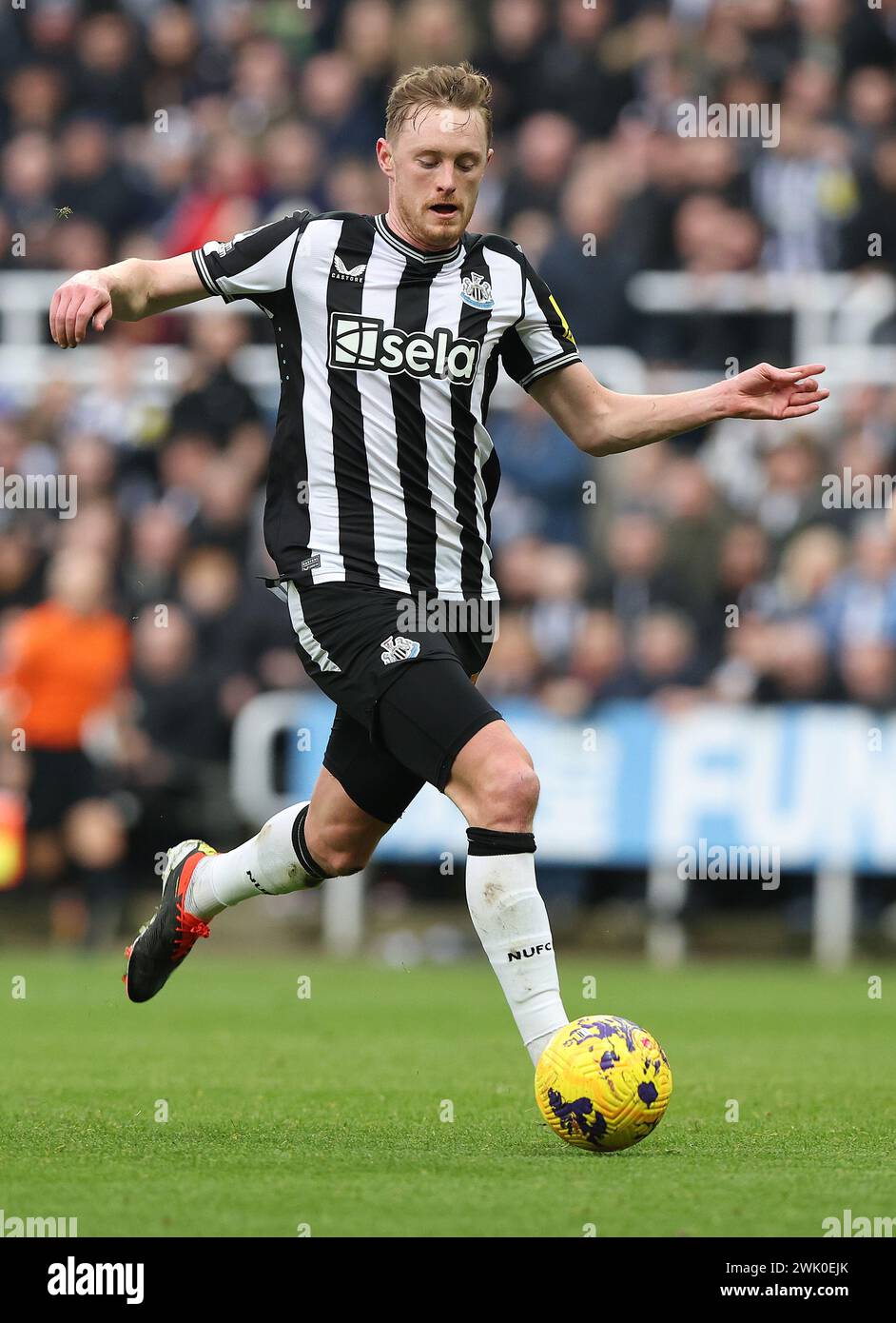 Sean longstaff newcastle 2024 hi-res stock photography and images - Alamy
