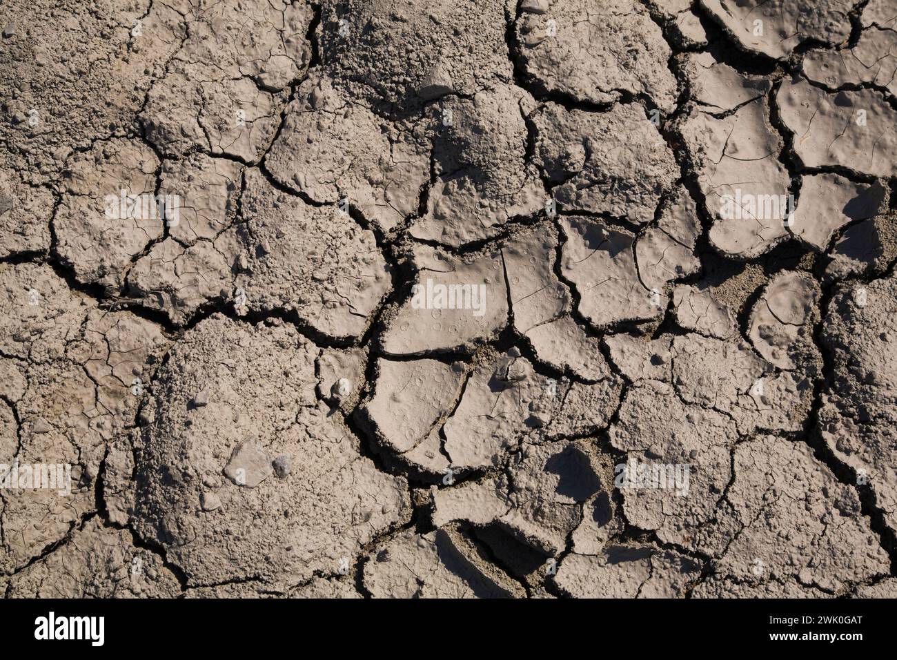Cracks in hardened mud hi-res stock photography and images - Alamy