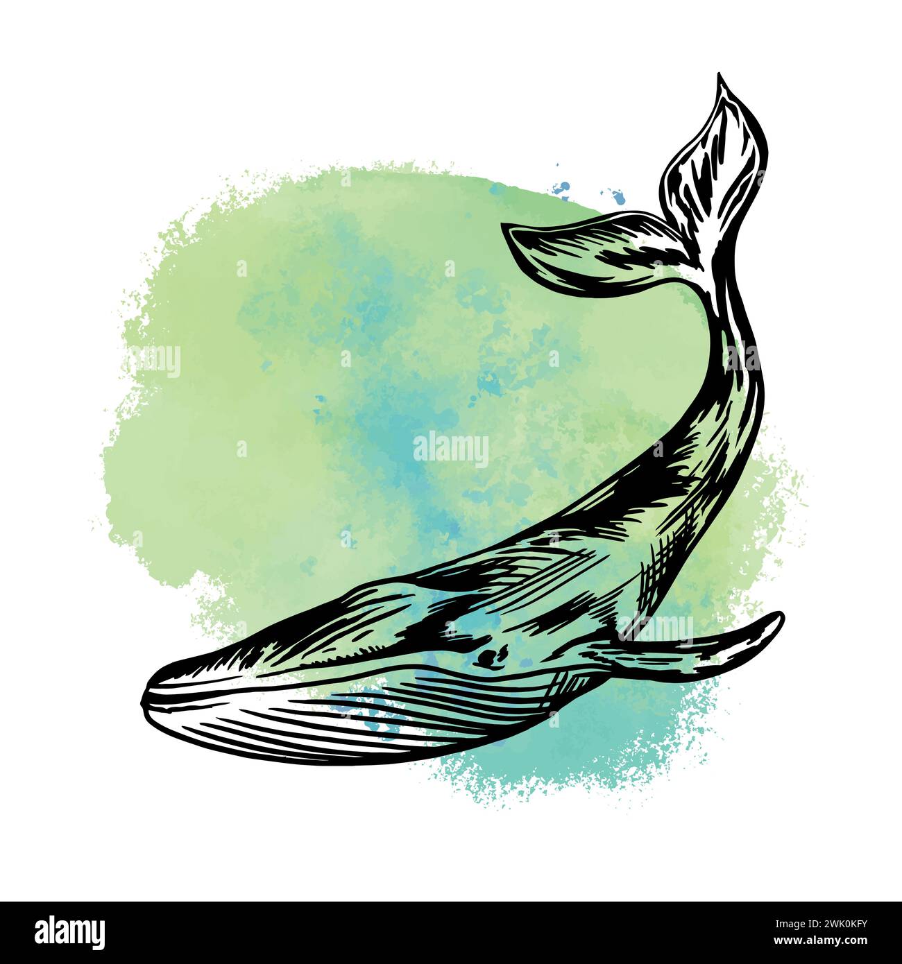 Sea whale, graphics. Vector illustration on a blue spot background ...